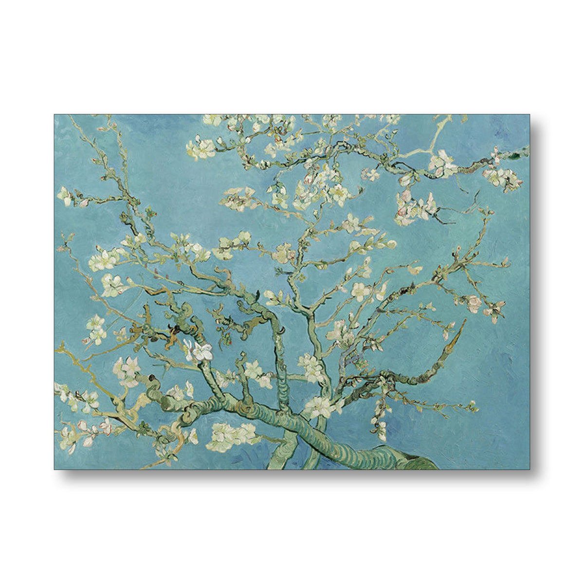 Almond Blossom, 1890 by Vincent van Gogh | Nicholas Engert Interiors